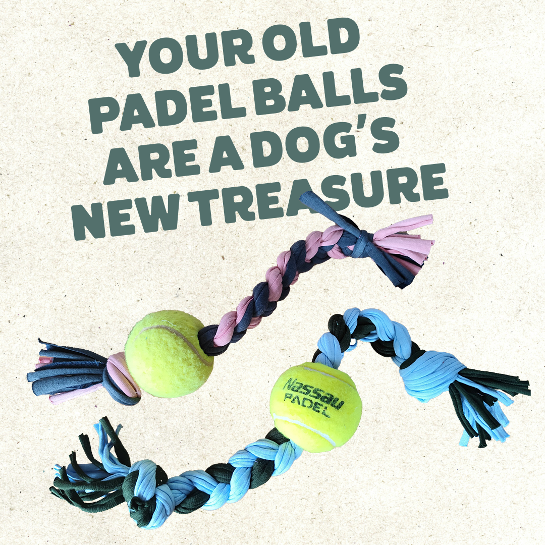 Giving Old Padel Balls a Second Life: Our Journey to Sustainable Dog T ...